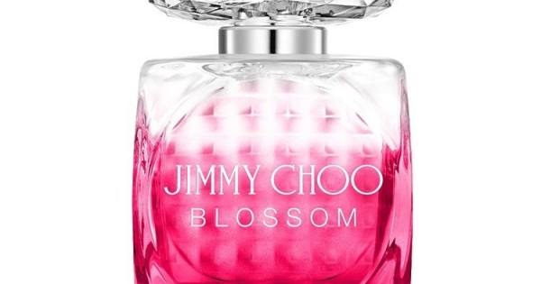 Buy Jimmy Choo Blossom Edp 100 Ml